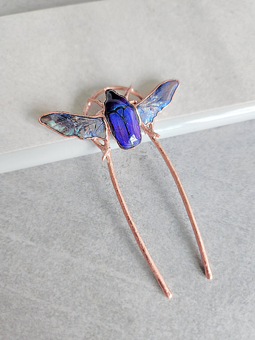 REAL Beetle Hair Pin, Insect Hair Pin, Bug Hair Clip, Oddities ...