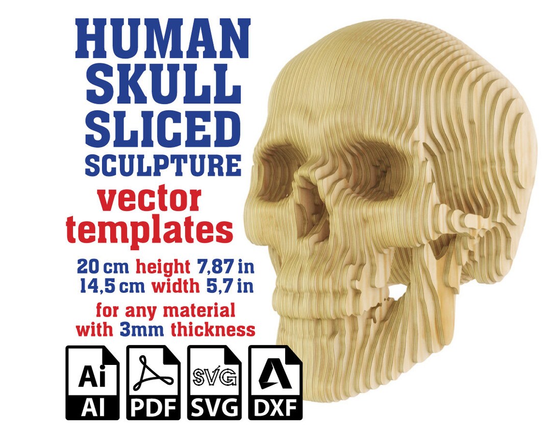 Human Skull Sculpture Sliced Vector Template, Skull Cardboard Sculpture ...