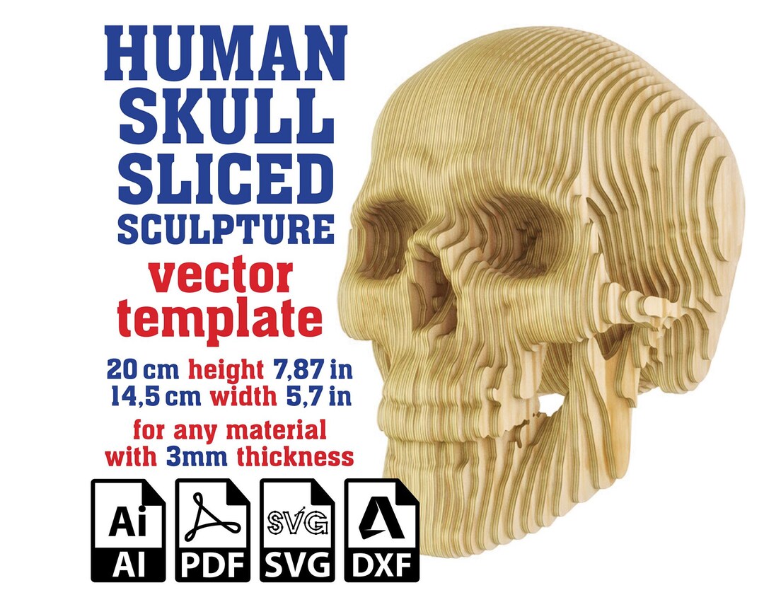 Human Skull Sculpture Sliced Vector Template, Parametric Skull ...