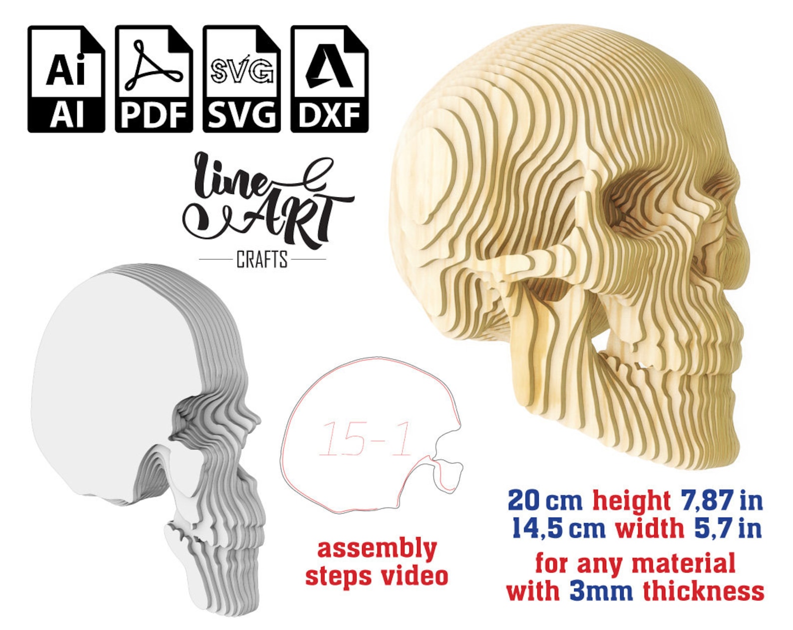 Human Skull Sculpture Sliced Vector Template Skull Cardboard - Etsy UK