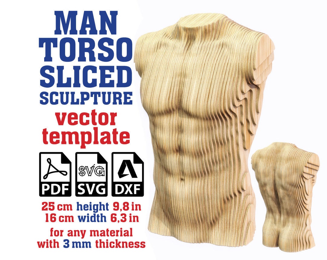 Man Torso Sculpture Sliced Vector Template 25cm, Male Torso Sculpture ...