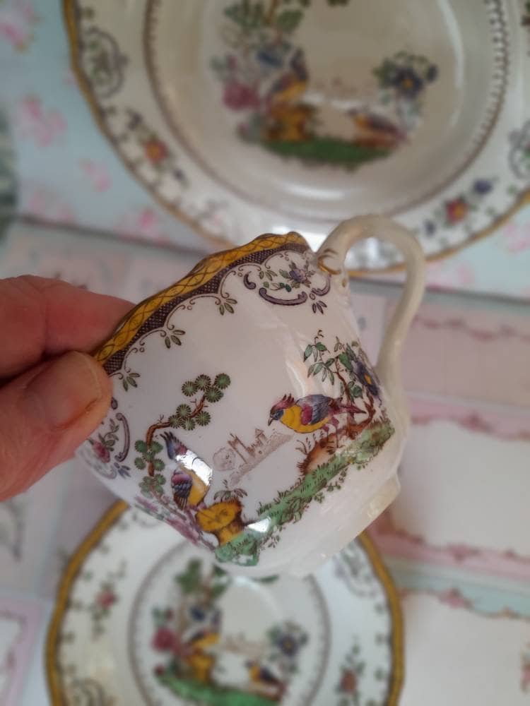 RARE Spode Trio in Chelsea for Harrods Reg Design No. 568949 - Etsy