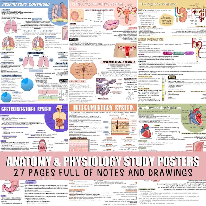 Revision Posters - Etsy UK