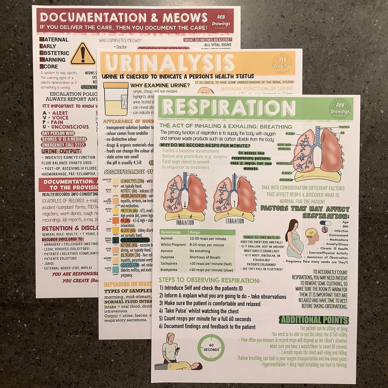 Clinical Skills and Vital Signs Pack - Etsy