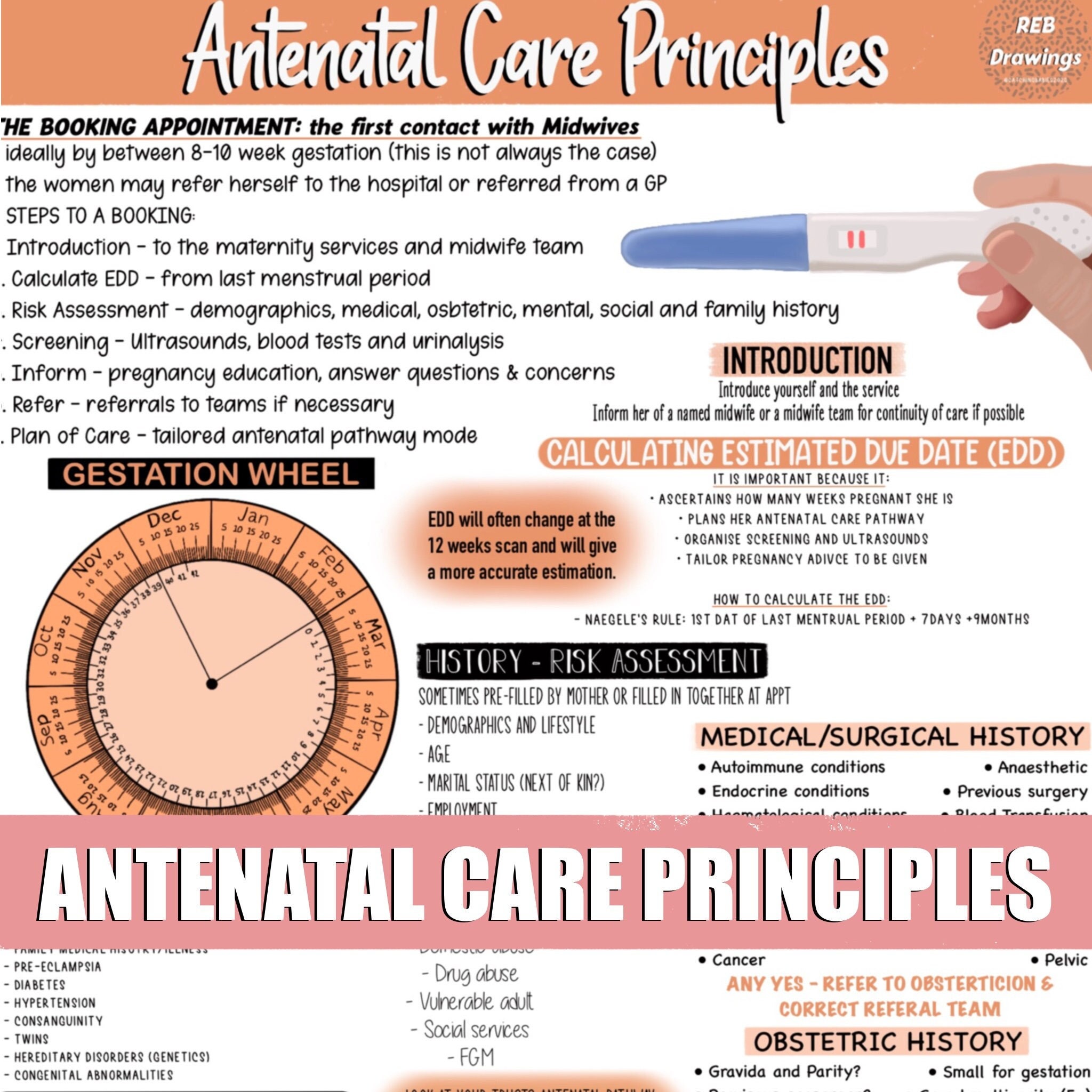 Antenatal Care Principles Notes - Etsy