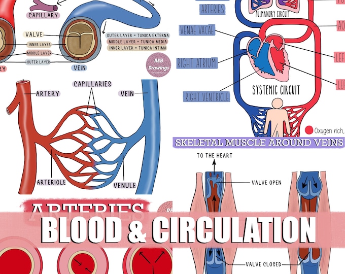 HERBAL BODY MAP - Etsy Canada