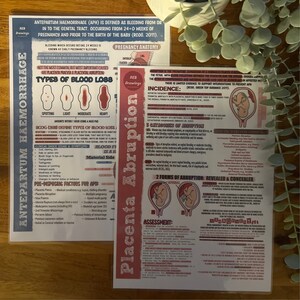 Bleeding in Pregnancy - APH - Etsy