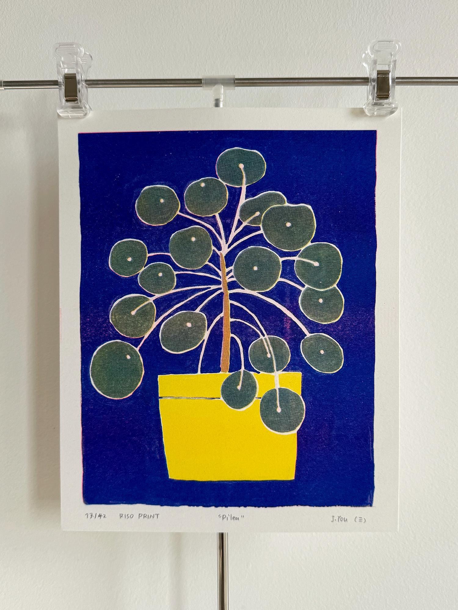 Pilea Peperomioides Riso Print Poster A4 Limited Edition, Risograph ...