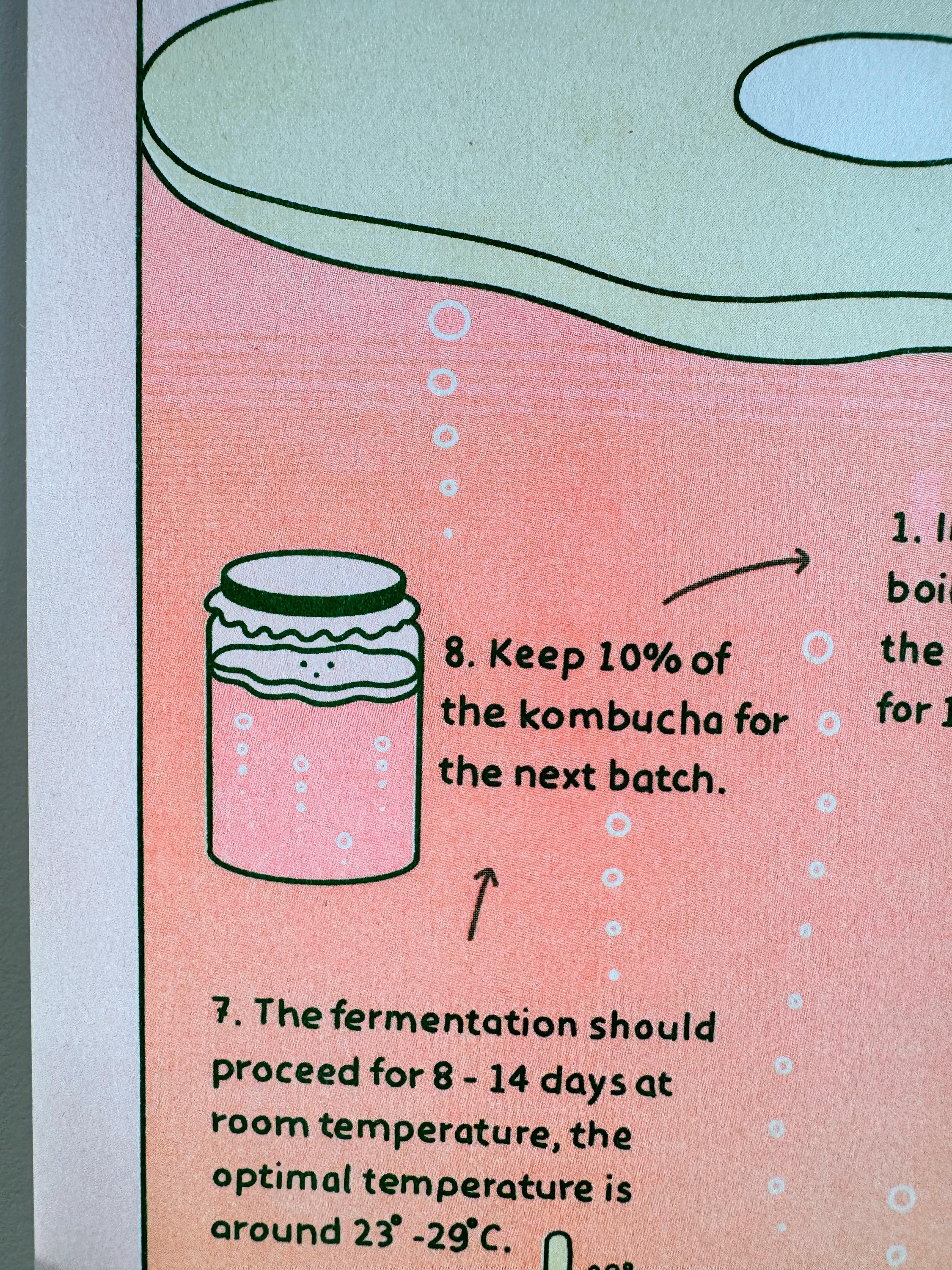 Kombucha Recipe Poster A3 – Risograph Print | Kitchen Wall Art for ...