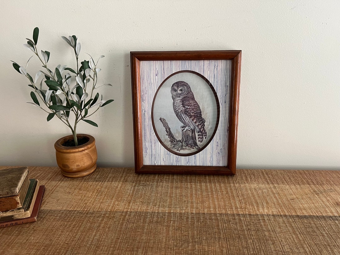 Vintage Wood Owl E. Rambow Picture - Etsy