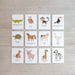 Samoan Animals Flashcard Printable | Samoan Learning Cards - Etsy