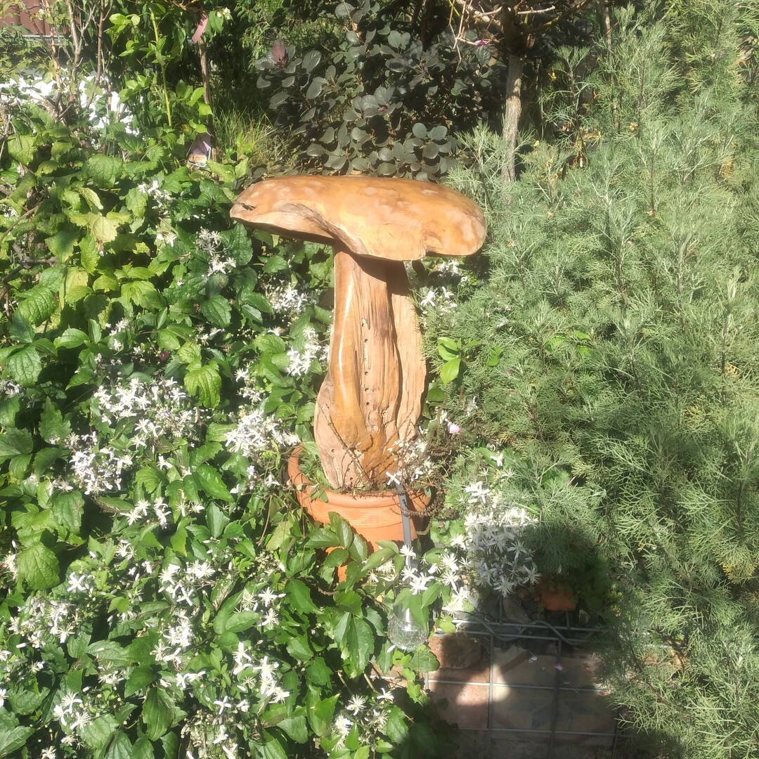 Insect Hotel Made of Teak Wood, Insect Hotel Mushroom - Etsy UK