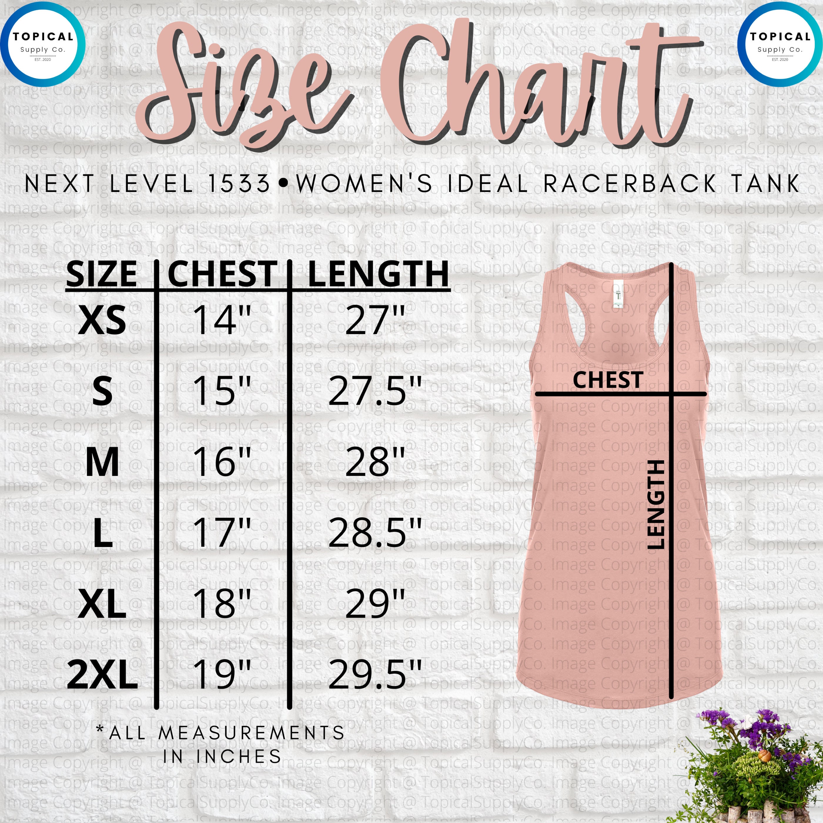 Two (2) Next Level 1533 Size Chart | Next Level 1533 Women's Ideal ...