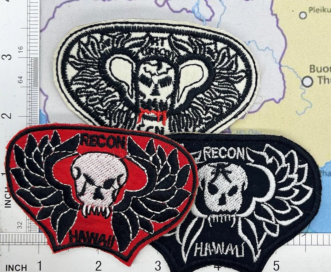 2 Patch Plus 1 , US Special Forces Group , Ussf , Skull Patch , Ccn ...