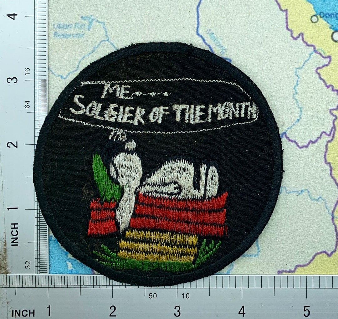 Patch , Usaf , Us Air Force Patch , Snoopy , Snoopy Dog , T7-234 - Etsy