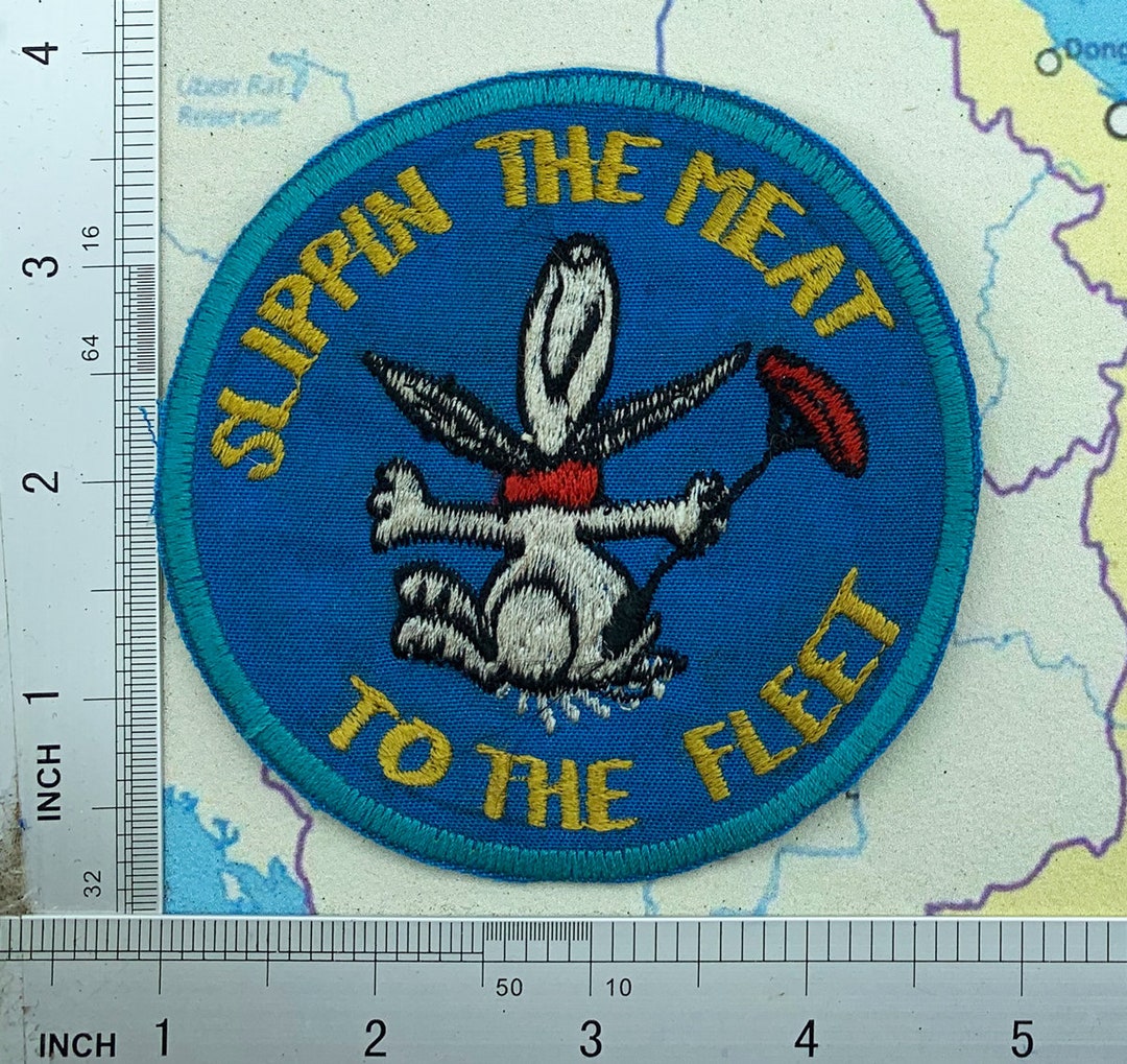 Patch , Usaf , Us Air Force Patch , Snoopy , Snoopy Dog , T7-242 - Etsy