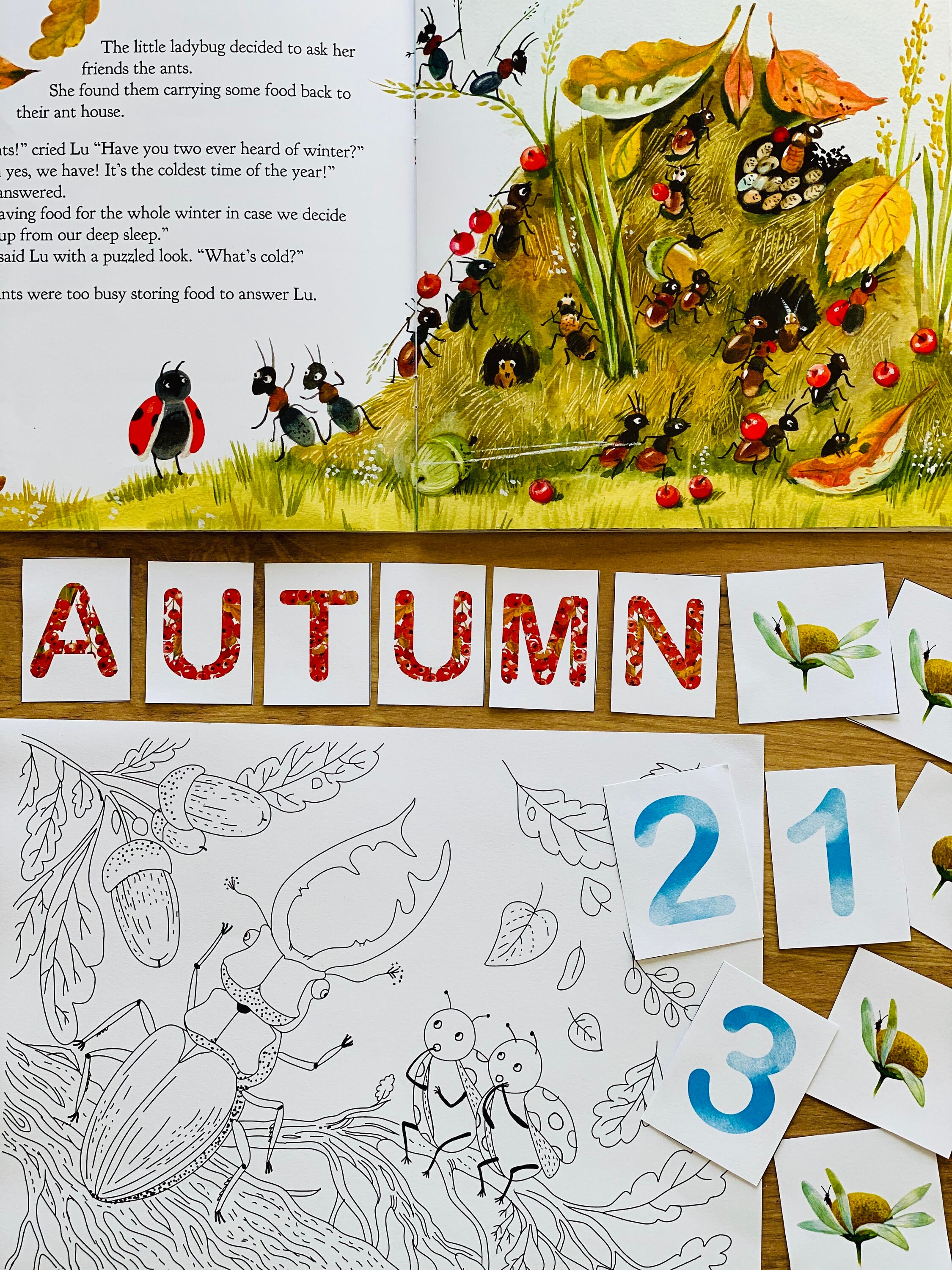 Seasonal Activity Bundle (autumn-winter), Nature Pack, Charlotte Mason ...