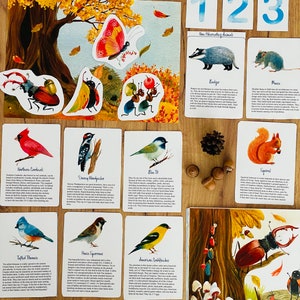 Seasonal Activity Bundle (autumn-winter), Nature Pack, Charlotte Mason ...