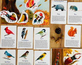 Seasonal Sorting & Literacy Activity. Insects and Seasons. - Etsy