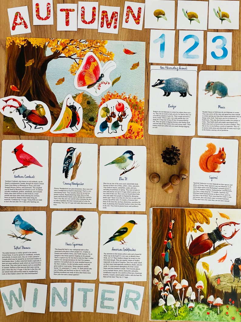 Seasonal Activity Bundle (autumn-winter), Nature Pack, Charlotte Mason ...