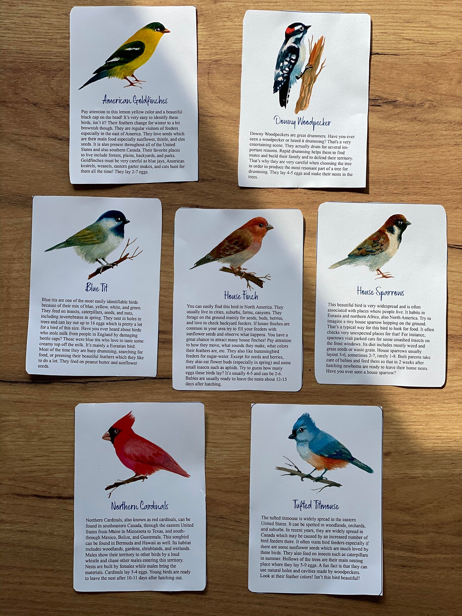 Seasonal Activity Bundle (autumn-winter), Nature Pack, Charlotte Mason ...