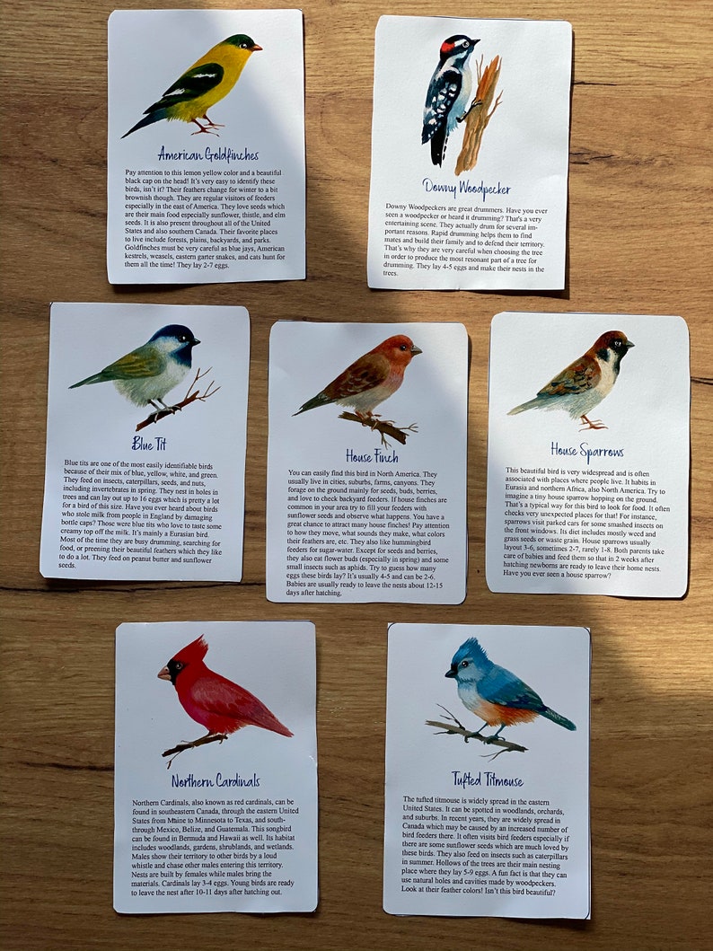 Seasonal Activity Bundle (autumn-winter), Nature Pack, Charlotte Mason ...