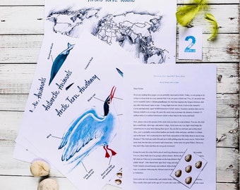 Blue Whale Mini Study, Nature Pack, Charlotte Mason Inspired Unit - Etsy