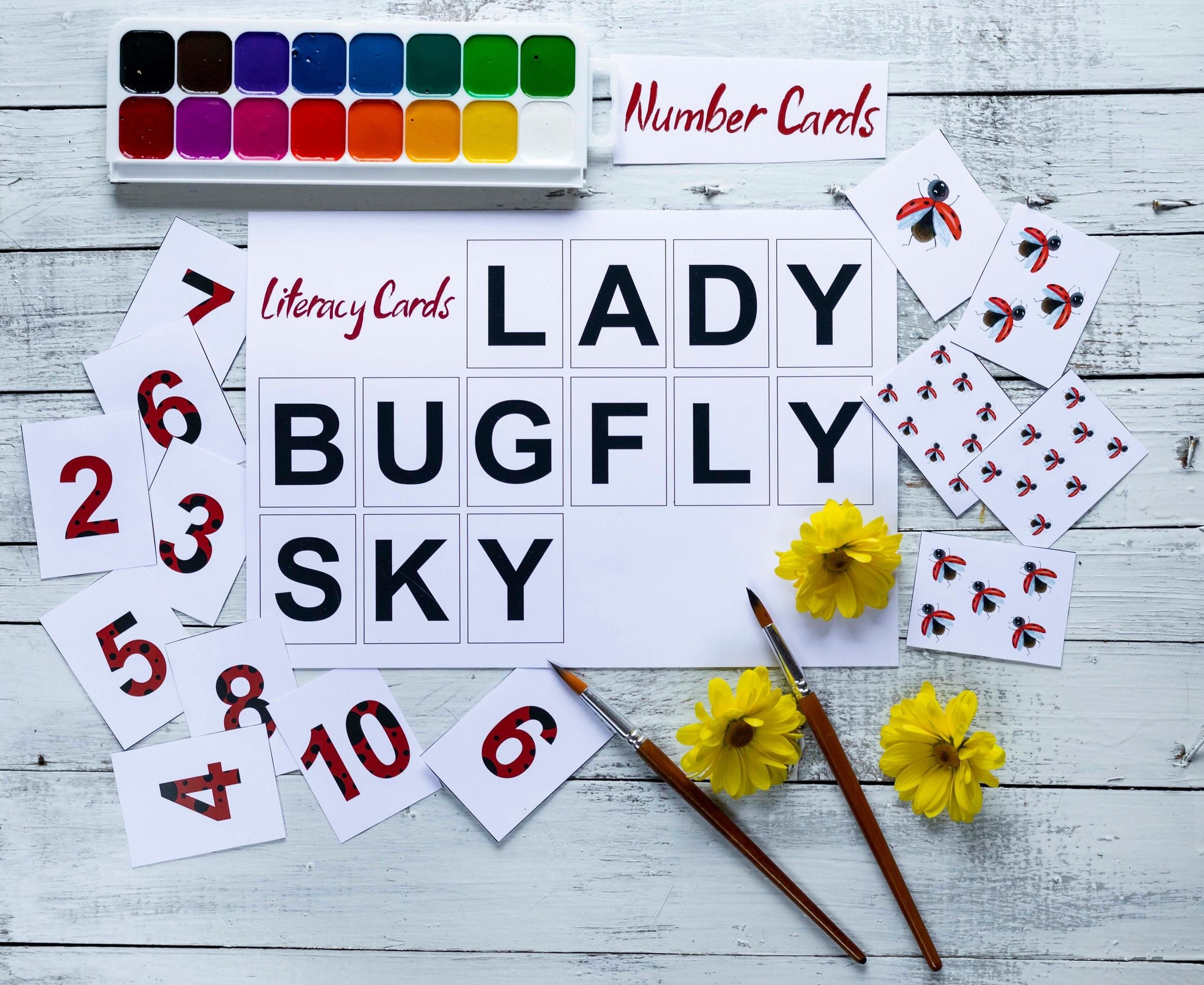 Ladybug Unit Study, Nature Pack, Charlotte Mason Inspired Unit - Etsy