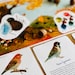 Seasonal Activity Bundle autumn-winter, Nature Pack, Charlotte Mason ...