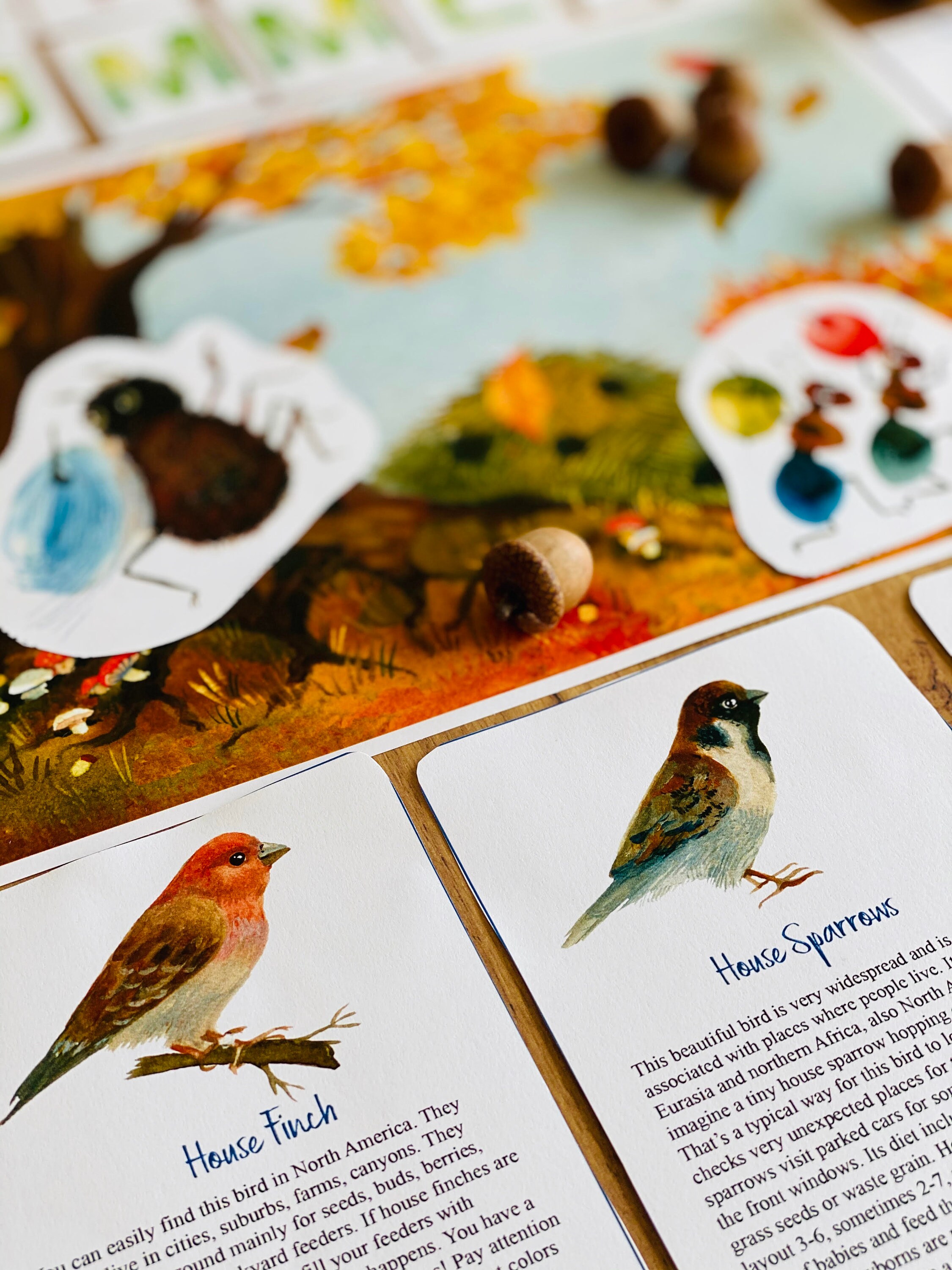 Seasonal Activity Bundle (autumn-winter), Nature Pack, Charlotte Mason ...
