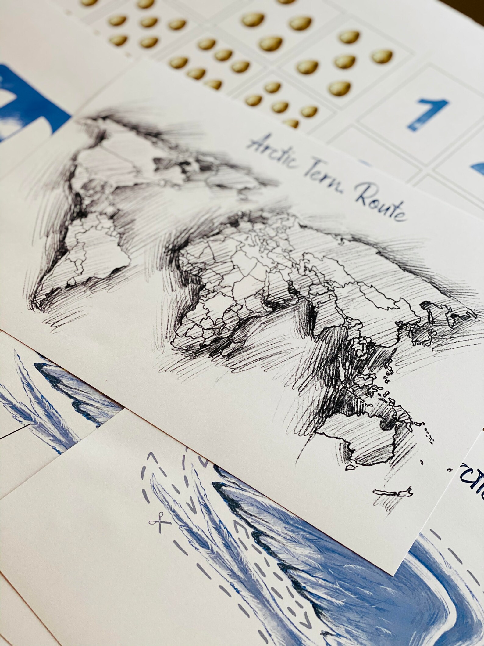 Arctic Tern Mini Study, Nature Pack, Charlotte Mason Inspired Unit - Etsy