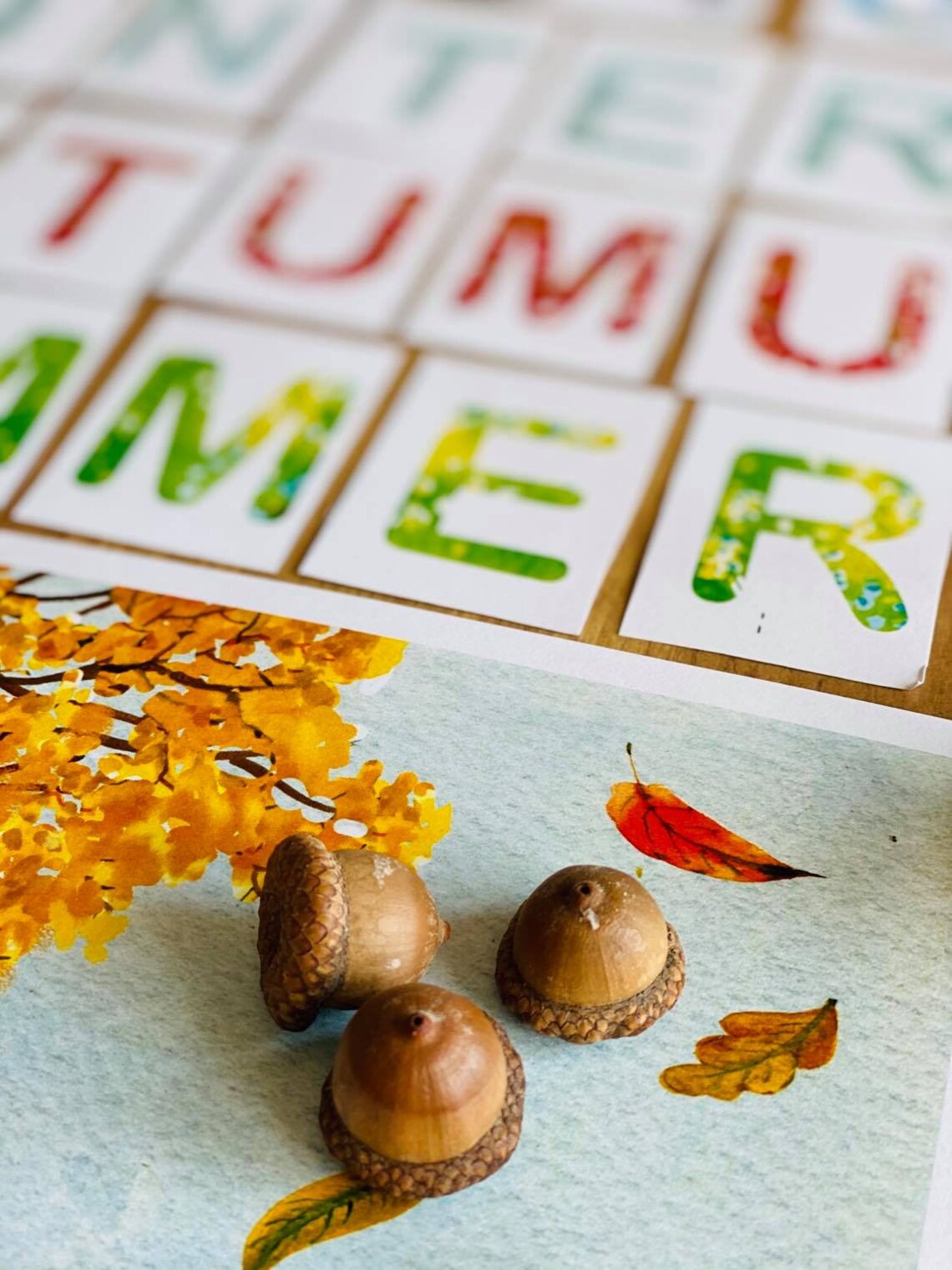 Seasonal Sorting & Literacy Activity. Insects and Seasons. Summer, Fall ...