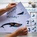Blue Whale Mini Study, Nature Pack, Charlotte Mason Inspired Unit - Etsy