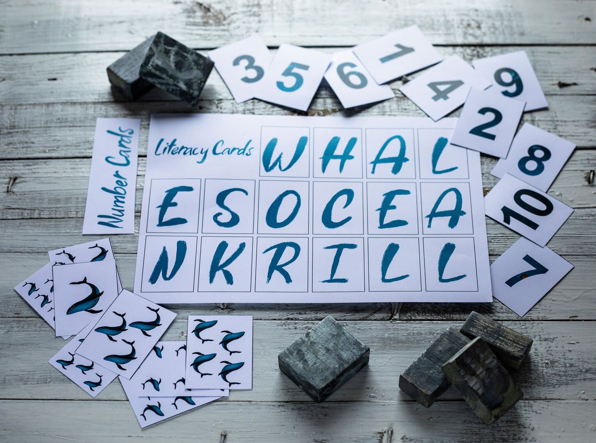 Blue Whale Mini Study, Nature Pack, Charlotte Mason Inspired Unit - Etsy