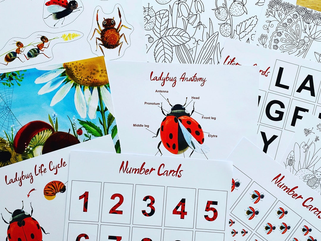 Ladybug Unit Study, Nature Pack, Charlotte Mason Inspired Unit - Etsy