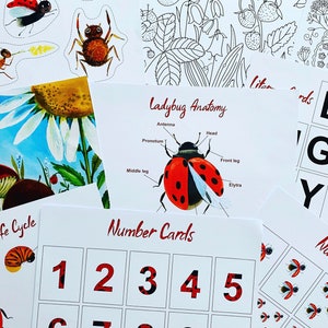 Ladybug Unit Study, Nature Pack, Charlotte Mason Inspired Unit - Etsy