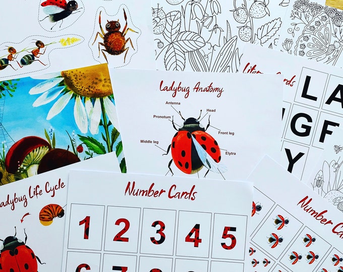 Ladybug Unit Study Nature Pack Charlotte Mason Inspired Unit - Etsy