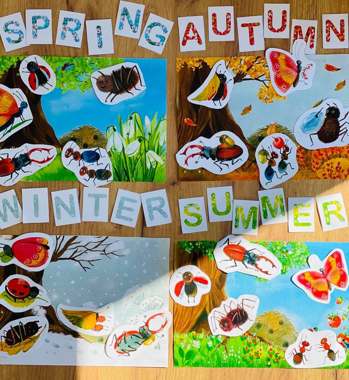 Seasonal Sorting & Literacy Activity. Insects and Seasons. Summer, Fall ...