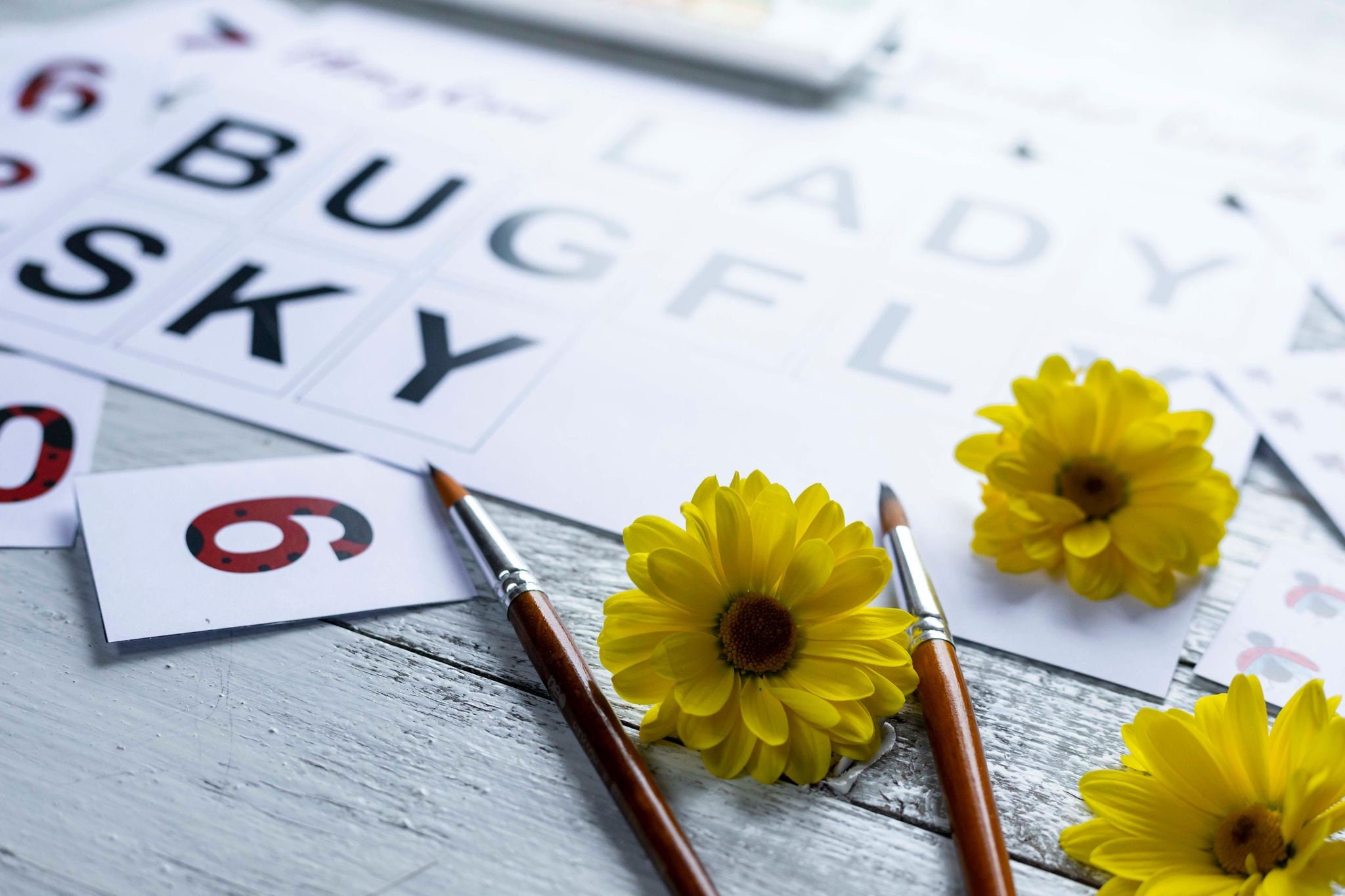 Ladybug Unit Study, Nature Pack, Charlotte Mason Inspired Unit - Etsy