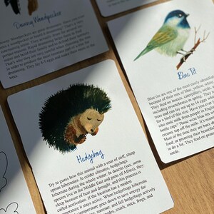 Seasonal Activity Bundle (autumn-winter), Nature Pack, Charlotte Mason ...