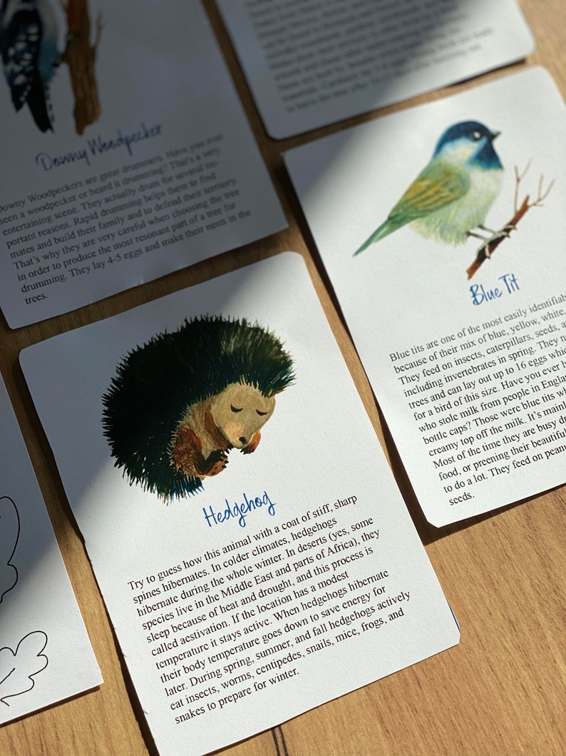 Seasonal Activity Bundle (autumn-winter), Nature Pack, Charlotte Mason ...