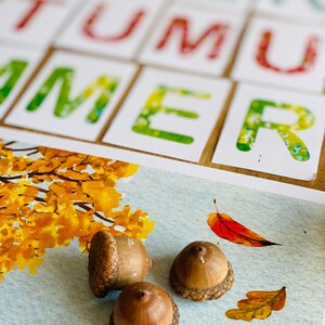 Seasonal Activity Bundle (autumn-winter), Nature Pack, Charlotte Mason ...