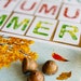 Seasonal Activity Bundle (autumn-winter), Nature Pack, Charlotte Mason ...