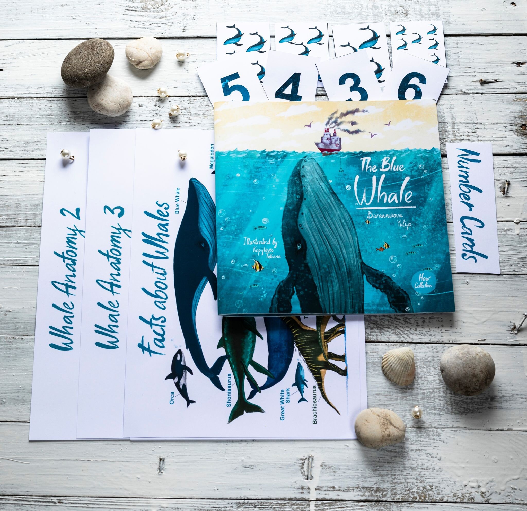 Blue Whale Mini Study, Nature Pack, Charlotte Mason Inspired Unit - Etsy