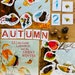 Seasonal Activity Bundle (autumn-winter), Nature Pack, Charlotte Mason ...