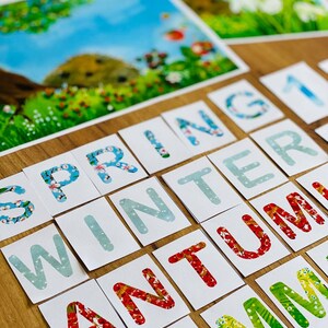 Seasonal Sorting & Literacy Activity. Insects and Seasons. Summer, Fall ...