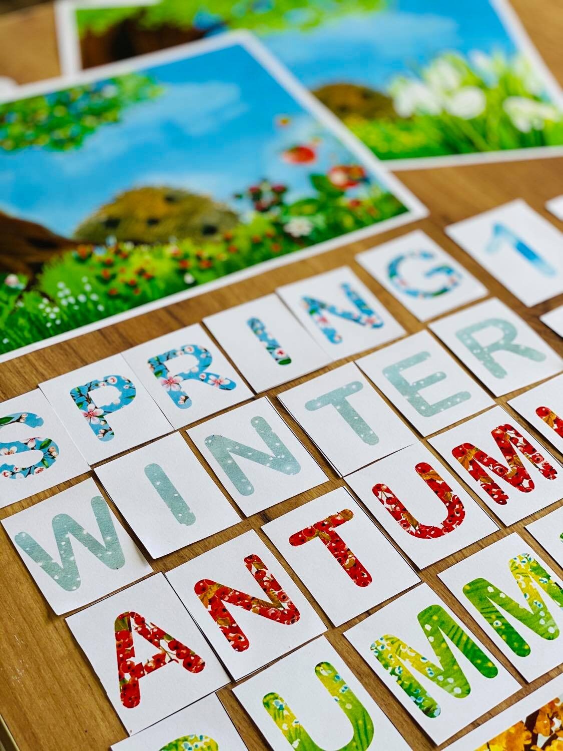 Seasonal Sorting & Literacy Activity. Insects and Seasons. Summer, Fall ...