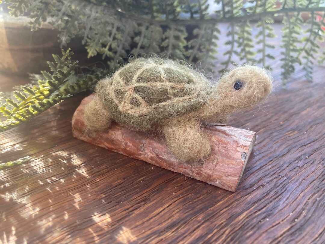 Needle Felted Turtle With Special Message - Etsy