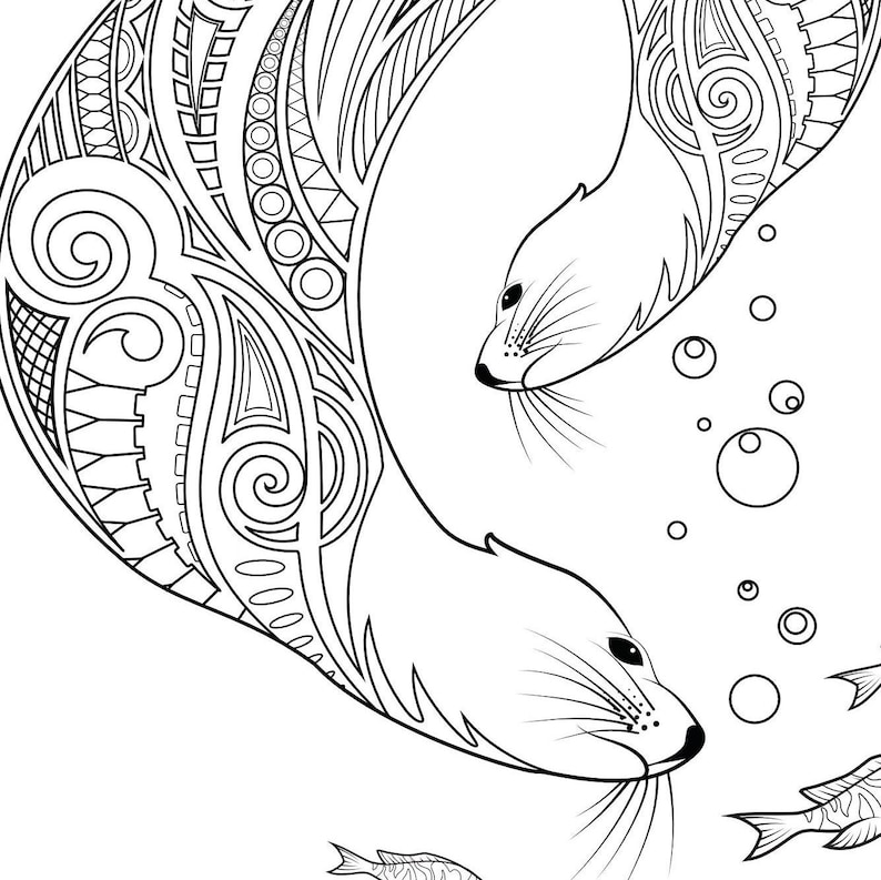 Seal Colouring Sheet DOWNLOAD - Etsy