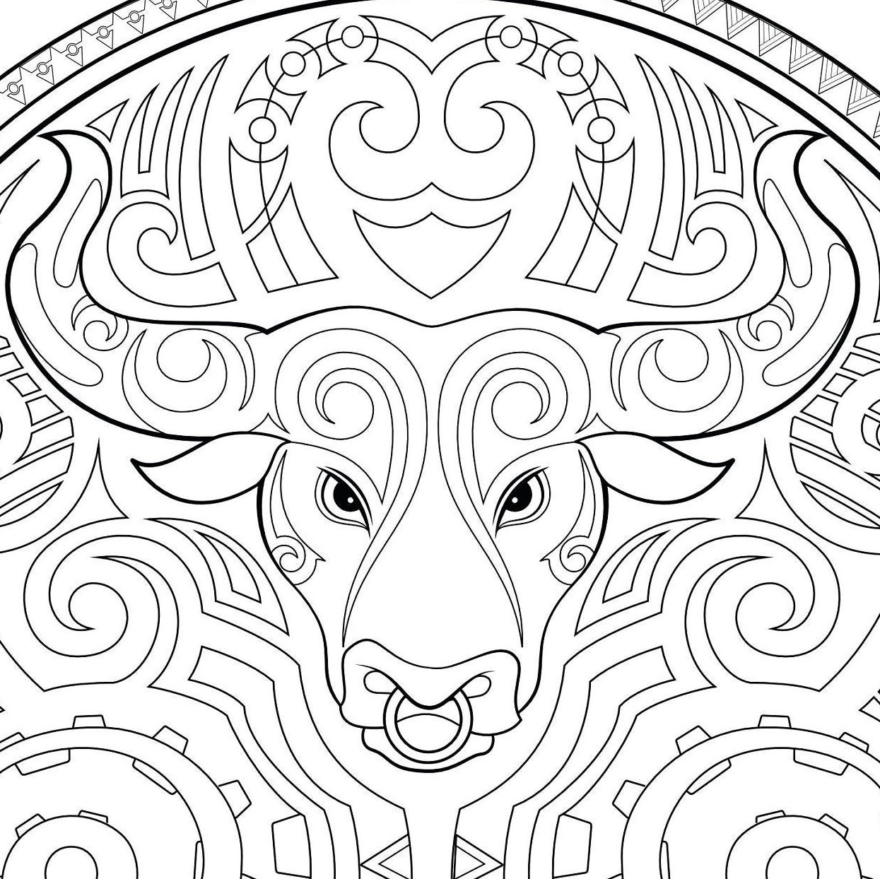 Bull Colouring Sheet DOWNLOAD - Etsy